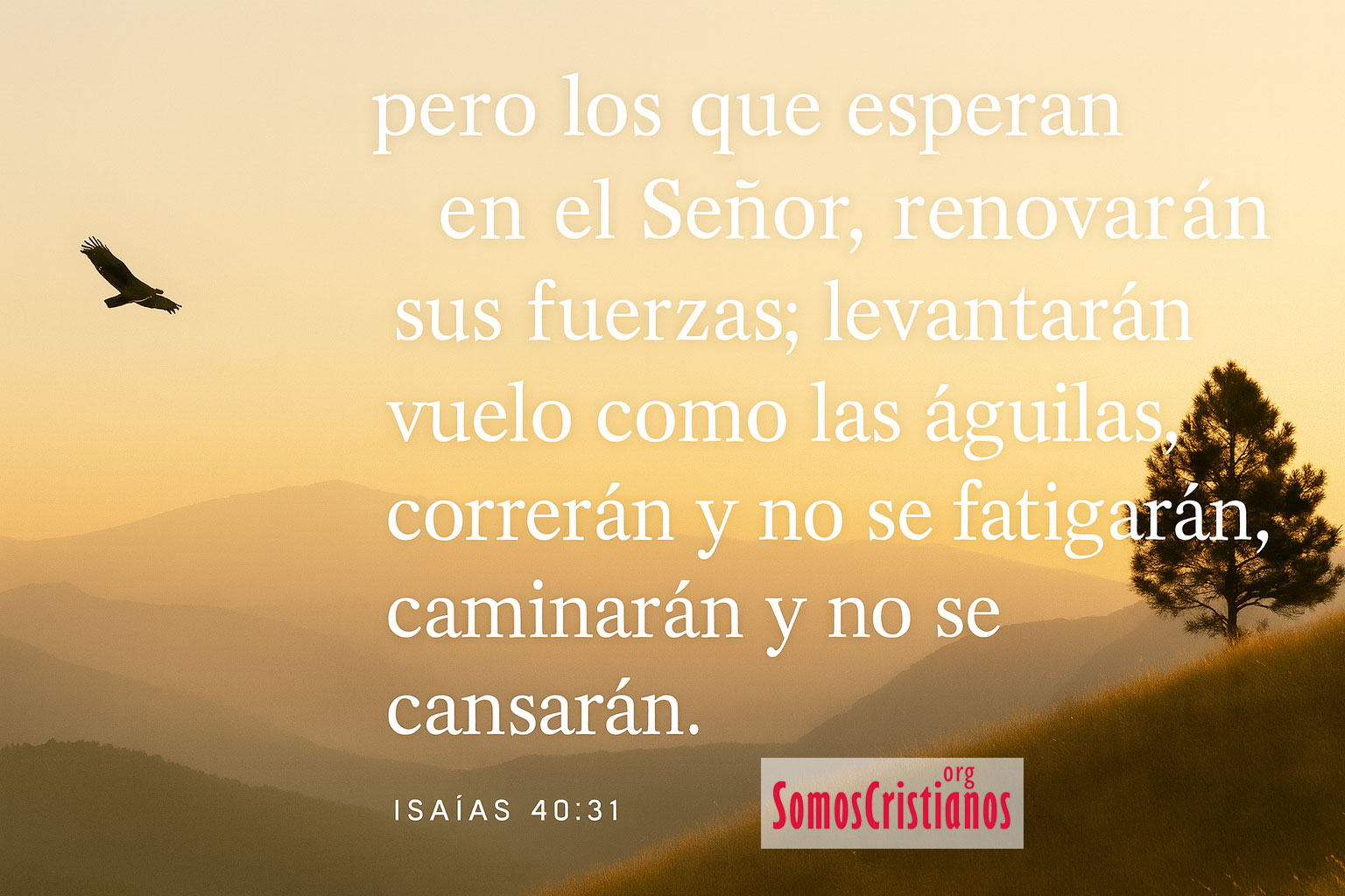 Devocional - 8 de abril : Dios renueva tus fuerzas. | SomosCristianos.org